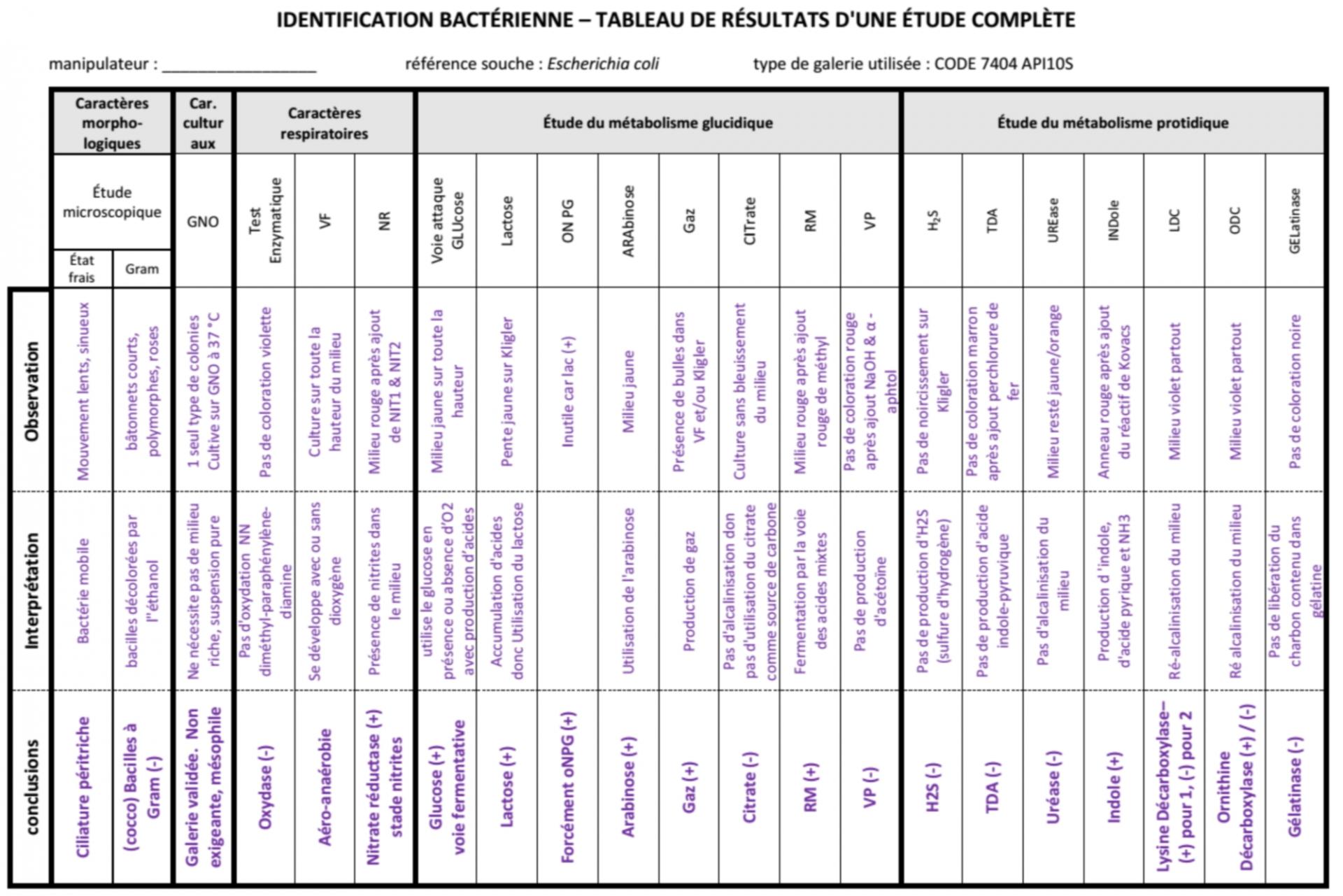Identification bactérienne